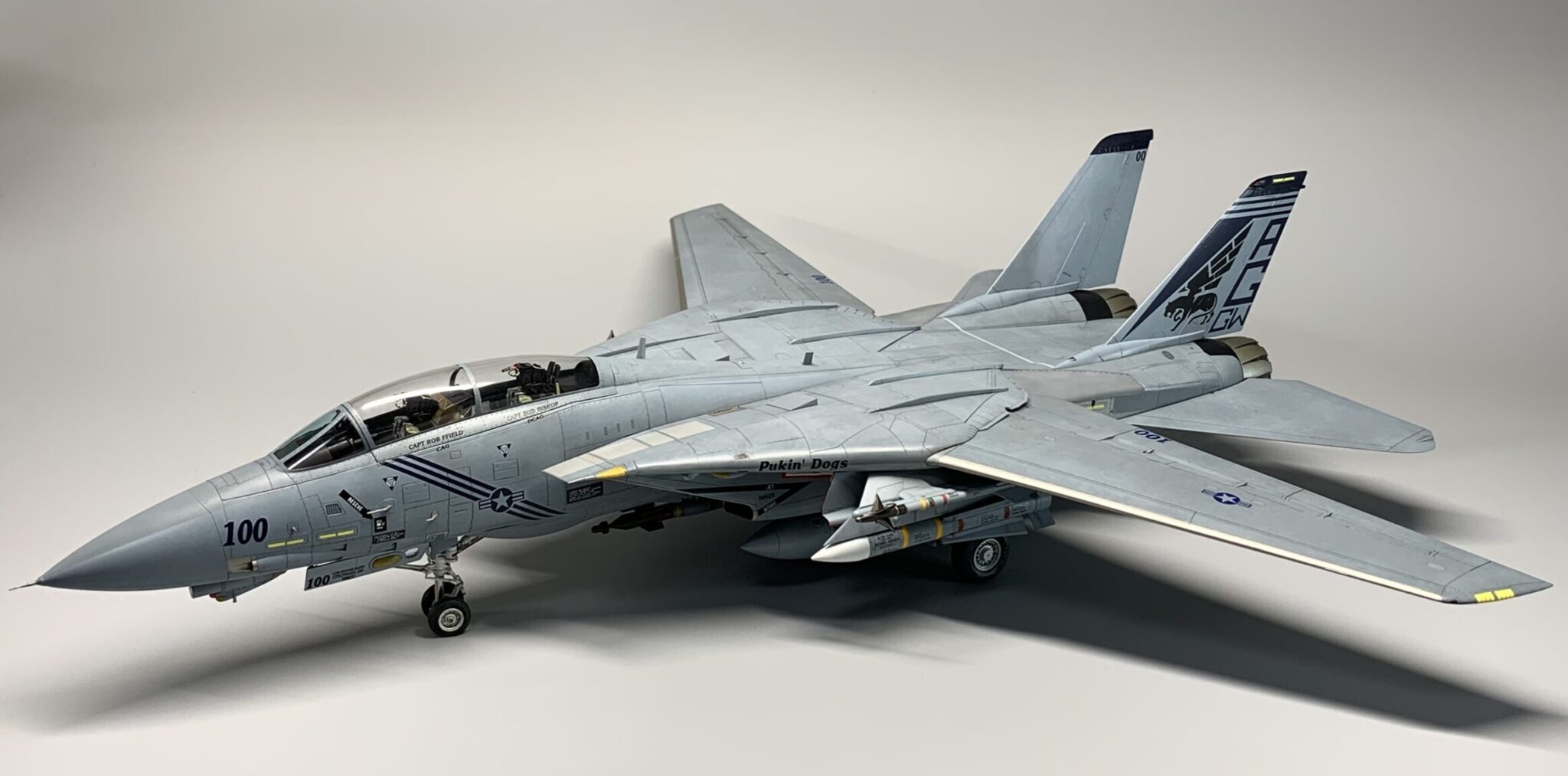 タミヤ 1/48 F-14B TOM CAT "Pukin Dogs" | JUNSANのミニチュア航空博物館