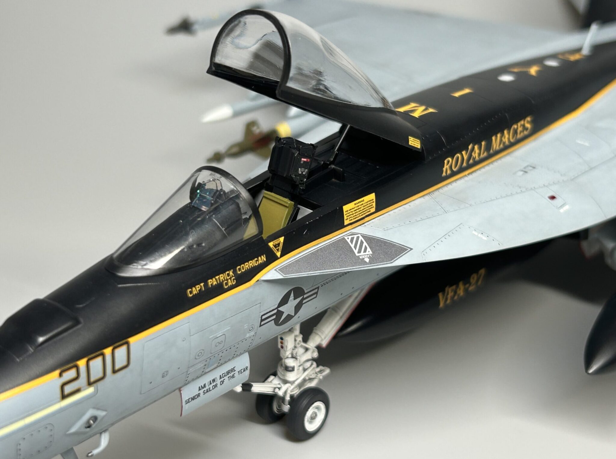 ハセガワ 1/48 F/A-18E Royal Maces CAG 2024 | JUNSANのミニチュア航空博物館